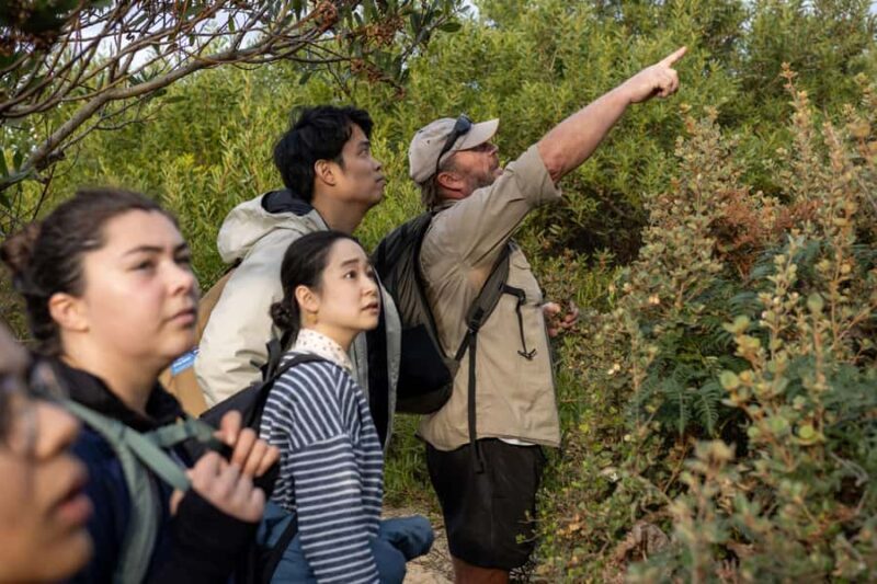 Hobart: Bruny Island Adventure: Hike, Highlights & Tastes - The Value of This Tour