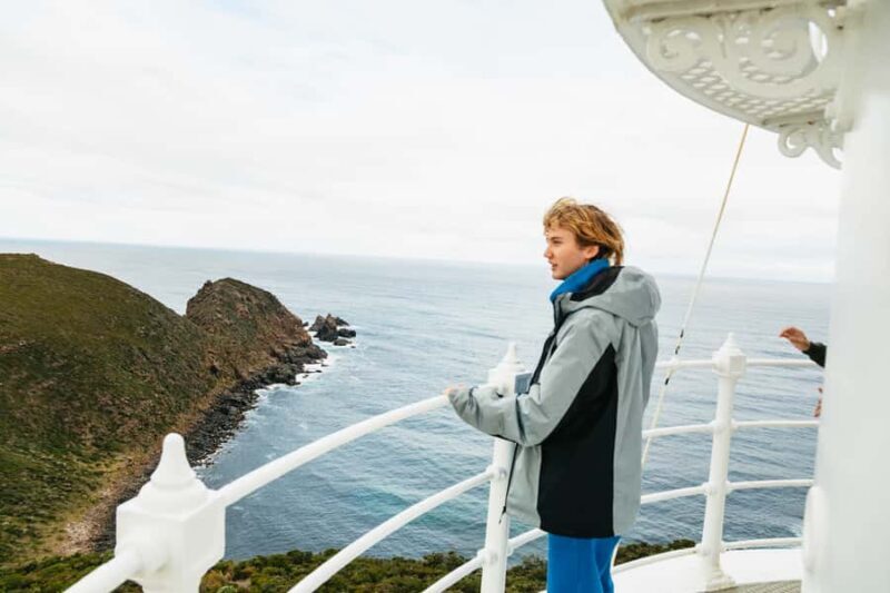 Hobart: Bruny Island Tour with Hotel Lunch & Lighthouse Tour - Introduction