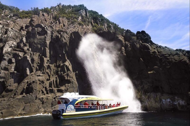 Hobart: Bruny Island Wilderness Coast Eco Cruise with Lunch - How the Day Unfolds: An In-Depth Look