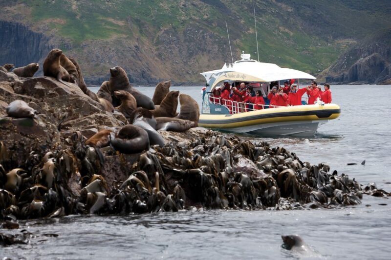 Hobart: Bruny Island Wilderness Coast Eco Cruise with Lunch - Who Will Love This Tour?
