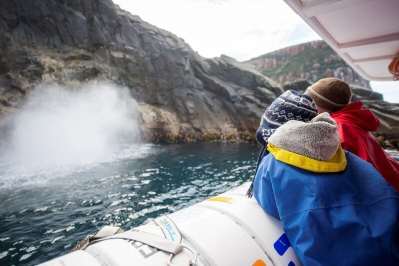 Hobart: Bruny Island Wilderness Coast Eco Cruise with Lunch - Frequently Asked Questions