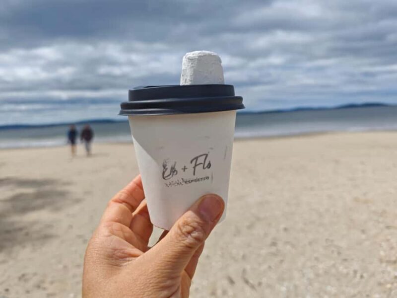 Hobart, Bush and Beach Escape - 2 Hour Small Group Tour - Detailed Review of the Hobart, Bush and Beach Escape Tour