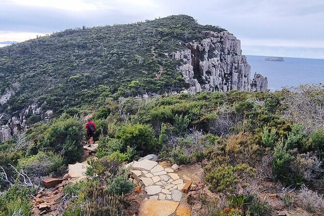Hobart: Cape Hauy Adventure Hike - rugged cliffs & wild beauty - The Practical Details
