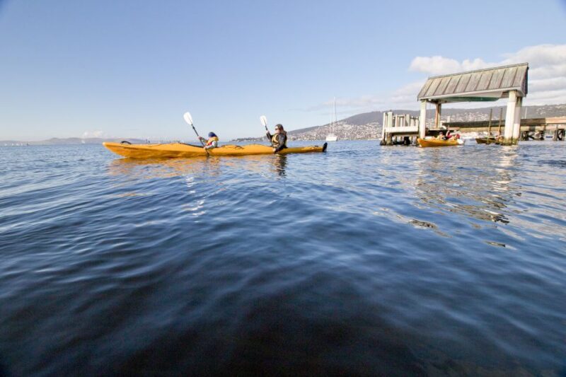 Hobart City 2.5-Hour Kayak Tour - An In-Depth Look at the Hobart Kayak Tour