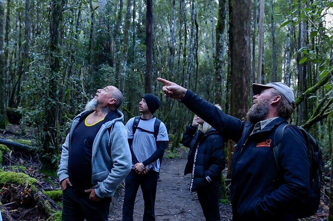 Hobart Cruise Ship Tour Mt Field National Park and Wildlife - Authentic Traveler Insights
