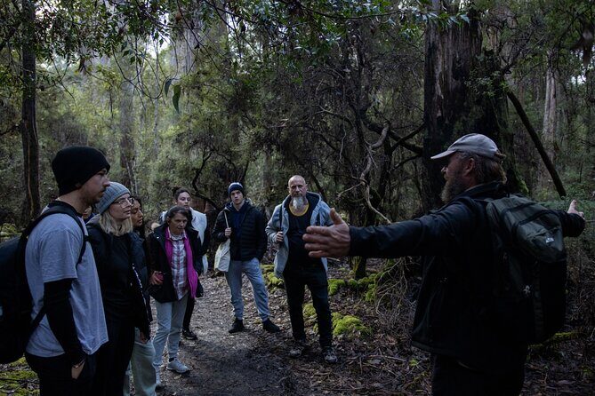 Hobart Cruise Ship Tour Mt Field National Park and Wildlife - Who Will Benefit Most?