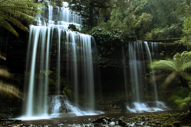 Hobart Cruise Ship Tour Mt Field National Park and Wildlife - Final Thoughts