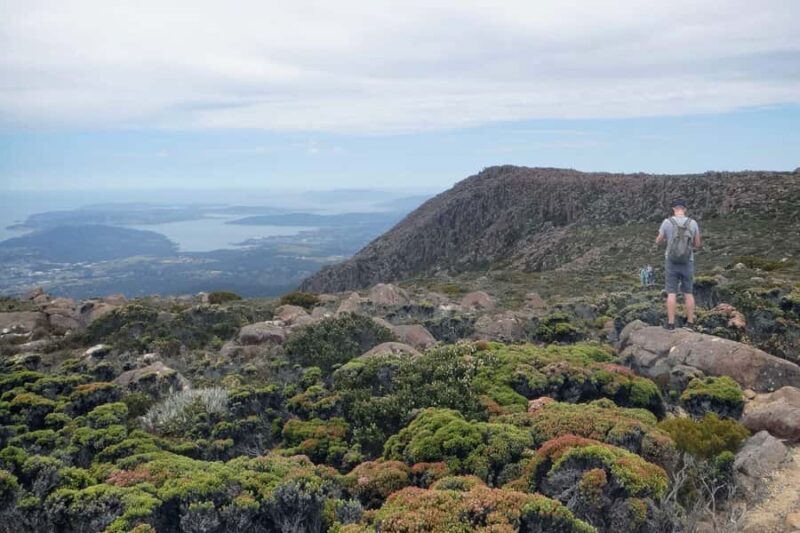 Hobart: Day Trip to Mt Wellington and MONA with Ferry Ride - Transportation, Duration & Value