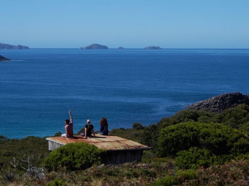Hobart: Day Trip to Mt Wellington and MONA with Ferry Ride - Authentic Traveler Insights
