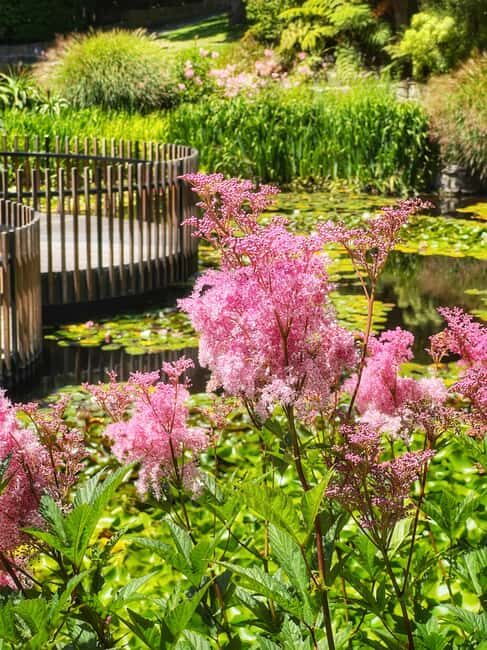 Hobart: Full-Day Bonorong Wildlife Sanctuary & Richmond Tour - An In-Depth Look at the Tour Experience