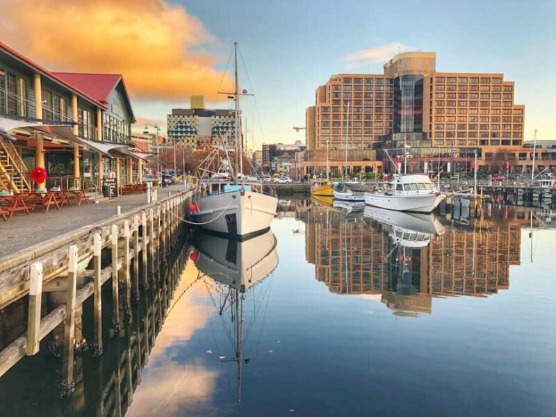 Hobart: Full-Day Bonorong Wildlife Sanctuary & Richmond Tour - The Practicalities: What You Need to Know