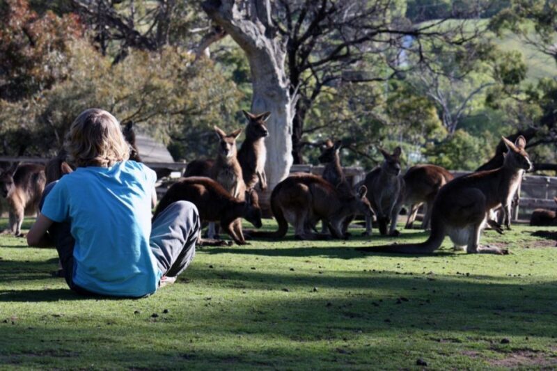 Hobart: Full-Day Bonorong Wildlife Sanctuary & Richmond Tour - FAQs