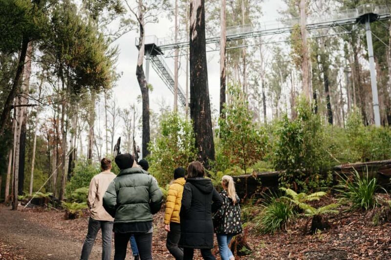 Hobart: Hastings Cave, Tahune Airwalk and Huon Tasting Trail - Key Points