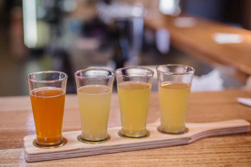 Hobart: Hastings Cave, Tahune Airwalk and Huon Tasting Trail - Who This Tour Is Best For