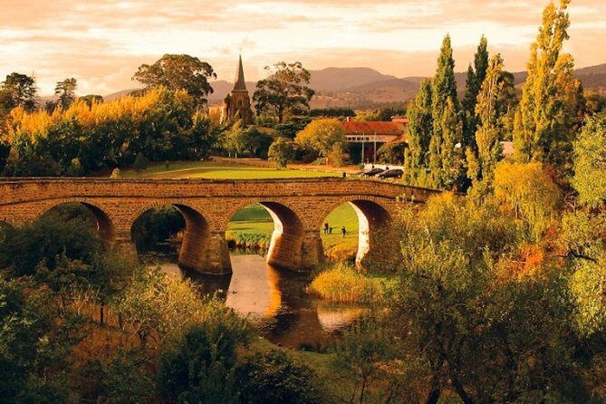 Hobart Highlights Day Tour - Real Guest Feedback