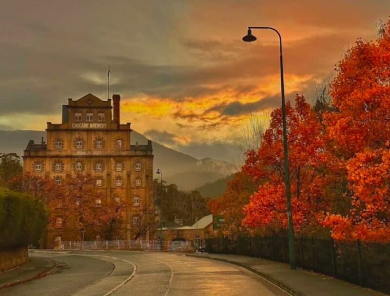 Hobart Highlights Day Tour - What to Expect: A Day of Discovery