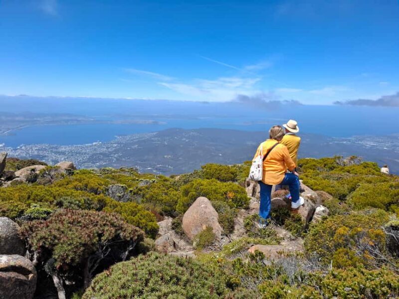 Hobart Highlights & Mount Wellington Shore Excursion - The Viewpoint at Mount Nelson