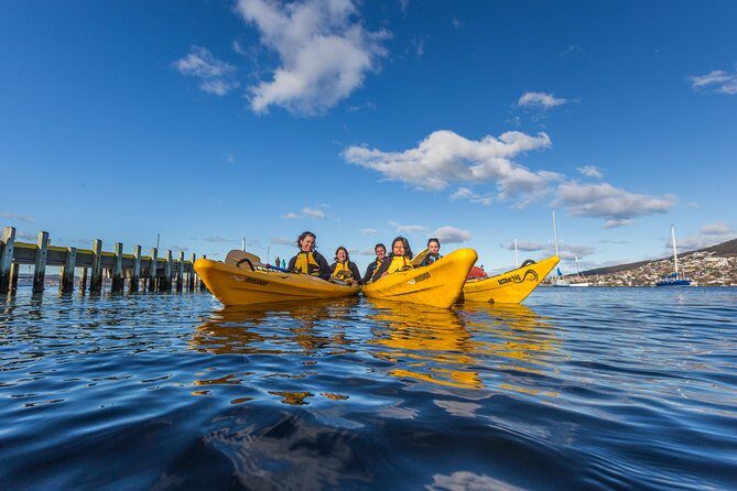 Hobart Kayak Tour - Hobart Kayak Tour Review: An Authentic Water Perspective on Tasmania’s Capital