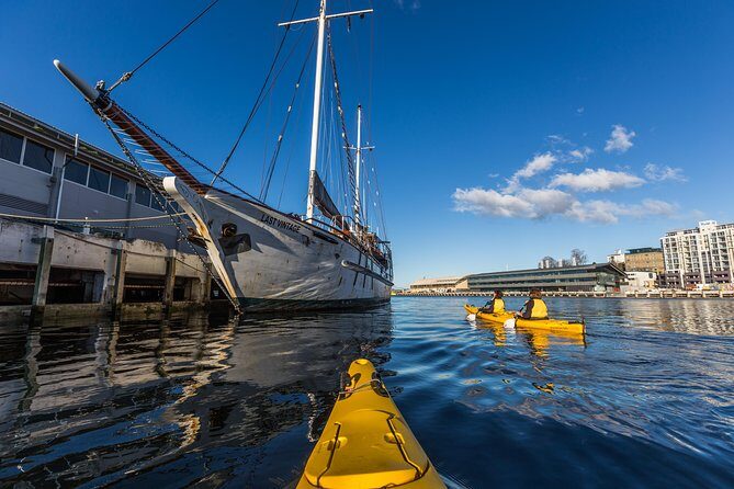 Hobart Kayak Tour - Practical Details and Tips