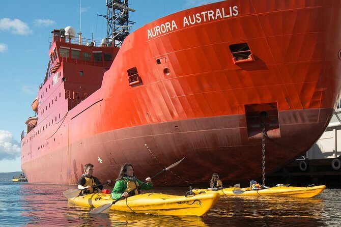 Hobart Kayak Tour - The Sum Up: Who Will Love This Tour?