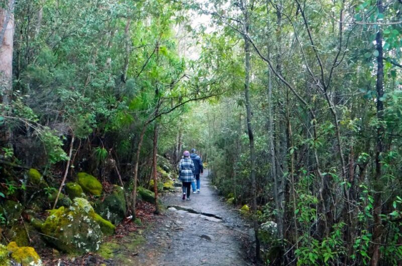 Hobart: kunanyi/Mt Wellington Explorer Bus Pass - Value for Money and Overall Experience