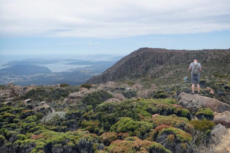 Hobart: kunanyi/Mt Wellington Explorer Bus Pass - Final Thoughts