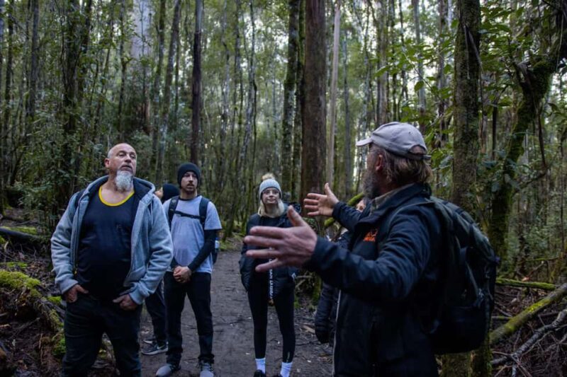 Hobart: Mt Field National Park & Wildlife Shore Excursion - Practicalities: What You Need to Know
