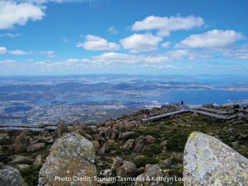 Hobart: Mt Wellington & MONA (Private Tour) - Key Points