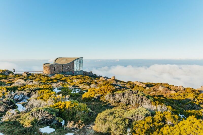 Hobart: Mt Wellington, Mt Field, Bonorong and Richmond Trip - Practical Tips for Travelers