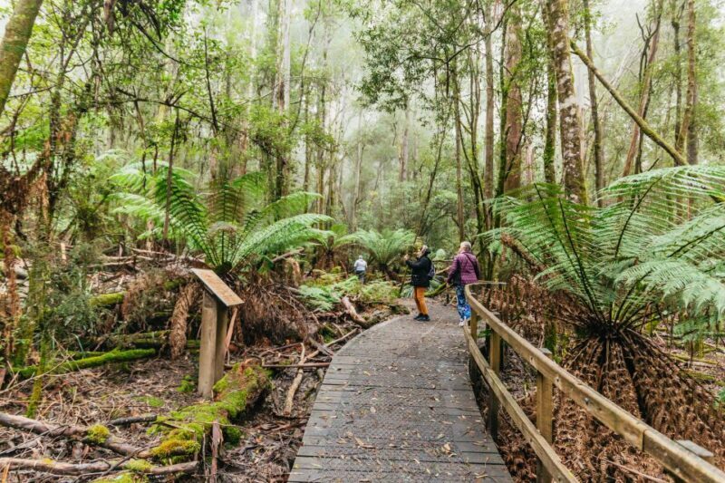 Hobart: Mt Wellington, Mt Field, Bonorong and Richmond Trip - Who Would Love This Tour?