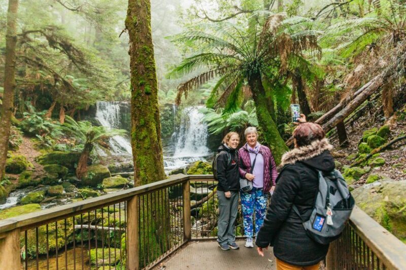 Hobart: Mt Wellington, Mt Field, Bonorong and Richmond Trip - FAQ