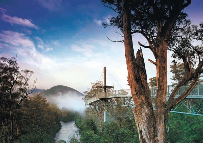 Hobart: Port Arthur, Bruny, Hastings, and Tahune 4-Day Trip - An Overview of the 4-Day Itinerary