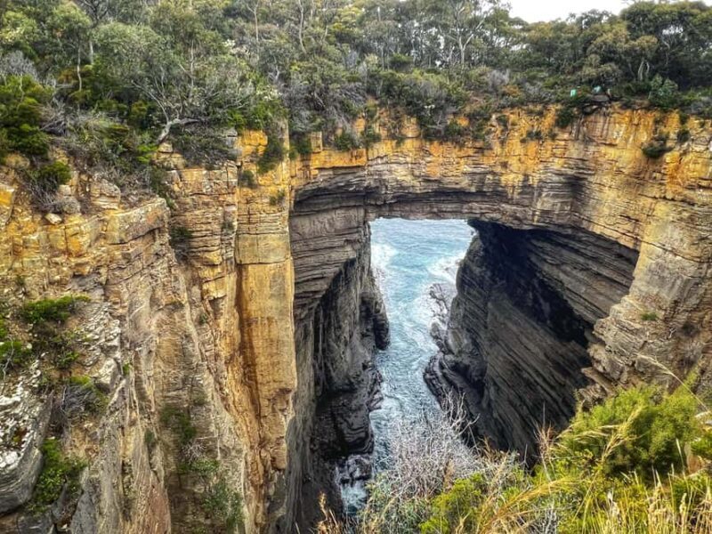 Hobart: Port Arthur, Harbor Cruise and Isle of the Dead Tour - Authentic Experiences and Traveler Feedback