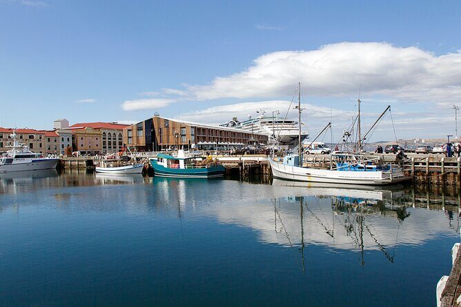 Hobart Shore Excursion: Hobart Attractions Bus - Key Points