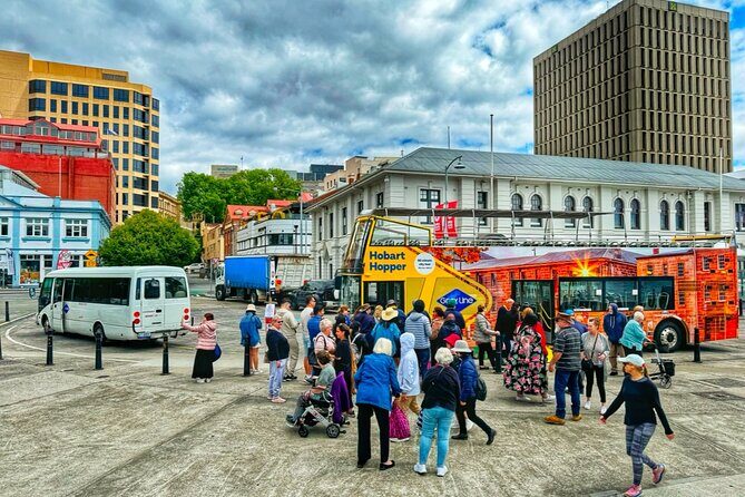 Hobart Shore Excursion-Open Top City Explorer Tour 1.30pm - A Deep Dive into the Experience