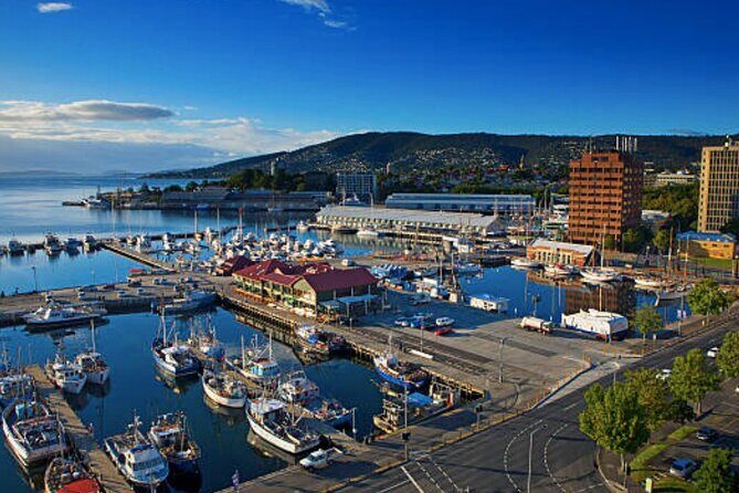 Hobart Shore Excursion: Small Group Mount Wellington 3-Hour Bike Tour - The Itinerary in Detail