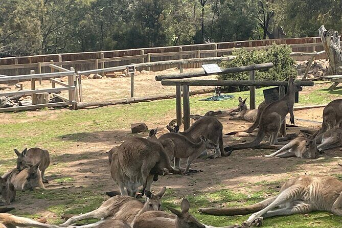 Hobart Signature Shore Excursion Small Group - Itinerary Breakdown and Evaluation