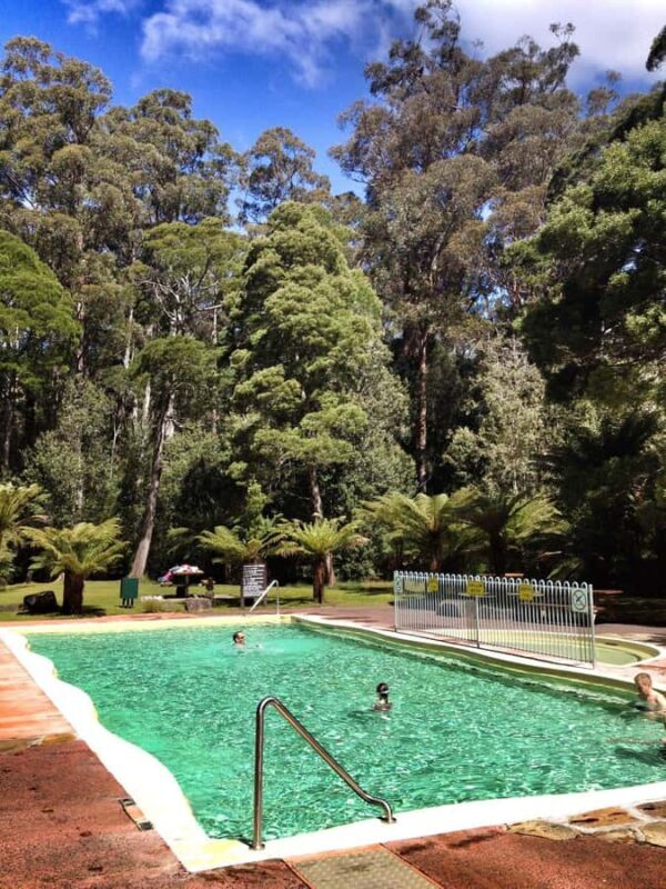 Hobart: Tahune Airwalk, Hastings Cave, Thermal Springs Tour - Key Points