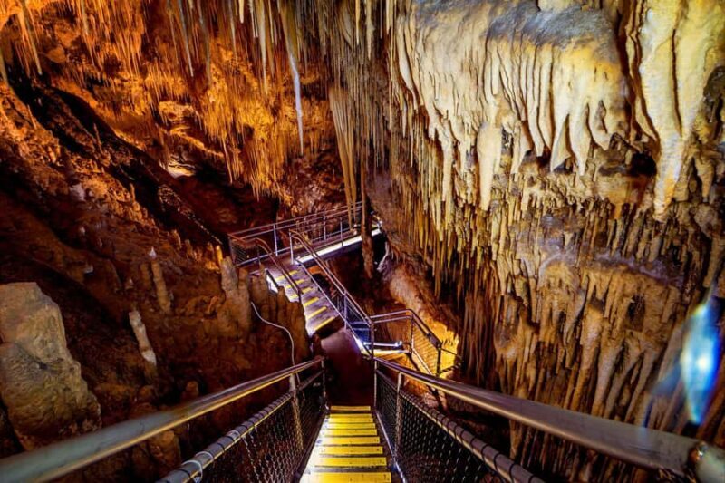 Hobart: Tahune Airwalk, Hastings Cave, Thermal Springs Tour - FAQ