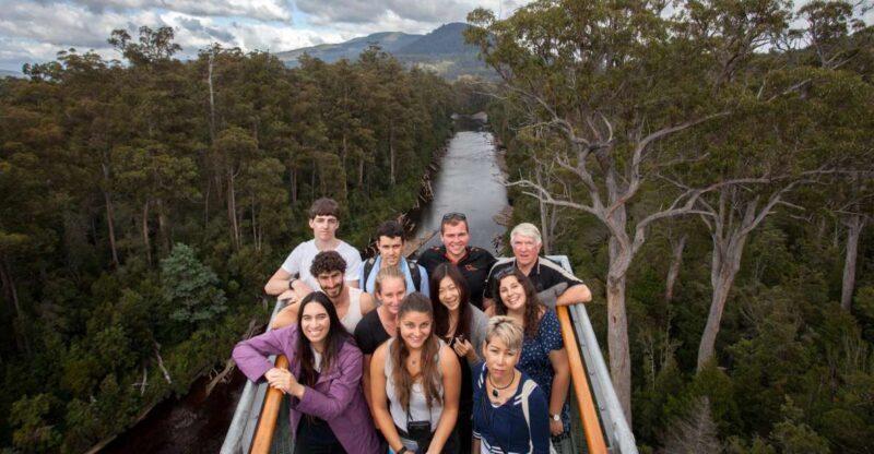 Hobart: Tahune Airwalk & Hastings Caves - Active Day Tour - Key Points