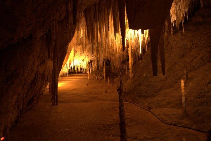 Hobart: Tahune Airwalk & Hastings Caves - Active Day Tour - A Day Packed with Nature and Adventure