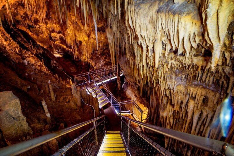 Hobart: Tahune Airwalk & Hastings Caves - Active Day Tour - The Sum Up