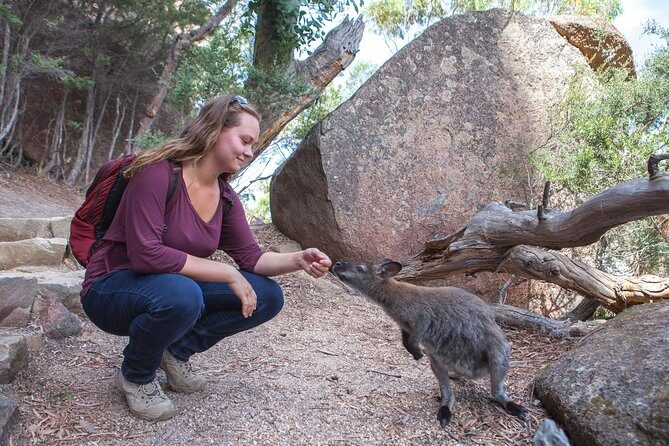 Hobart to Launceston via Wineglass Bay - Active one-way Day Tour - An In-Depth Look at the Tour Experience