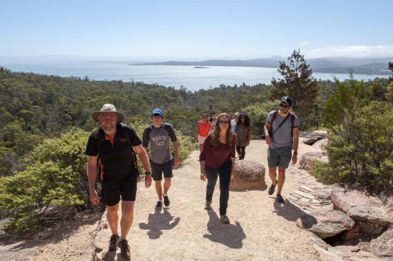 Hobart: Wineglass Bay & Freycinet National Park Active Tour - How the Tour is Structured