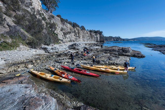 Hobart's Cliffs, Caves and Beaches Kayak Tour - Summary: Is This Tour Worth It?