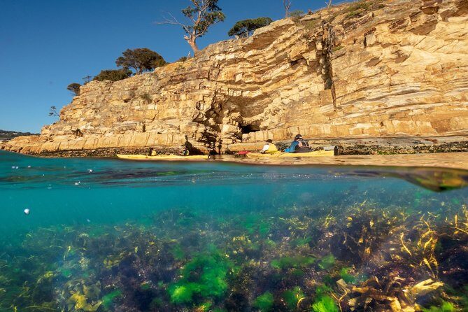 Hobart's Cliffs, Caves and Beaches Kayak Tour - FAQs About Hobart’s Cliffs, Caves, and Beaches Kayak Tour