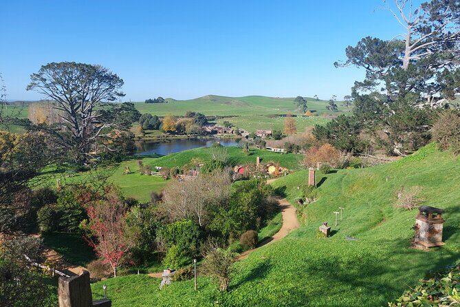 Hobbiton Afternoon Tour in Luxury Minibus from Auckland - Final Thoughts: Who Is This Tour Best For?