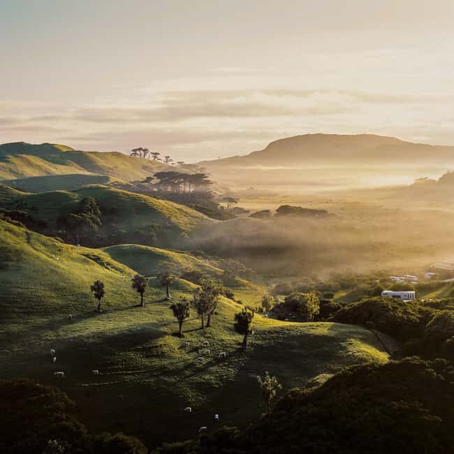 Hobbiton and Waiotapu Thermal Wonderland : PRIVATE TOUR - Who Will Enjoy This Tour?