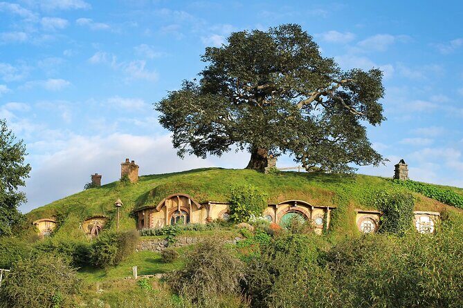 Hobbiton Day Tour from Rotorua with lunch at Hobbiton - Introduction