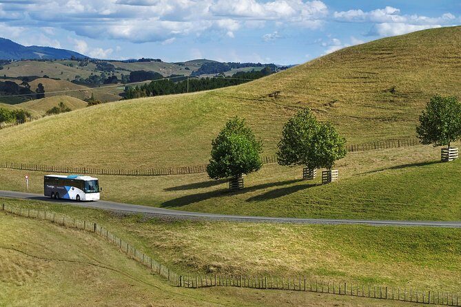 Hobbiton Day Tour from Rotorua with lunch at Hobbiton - Key Points